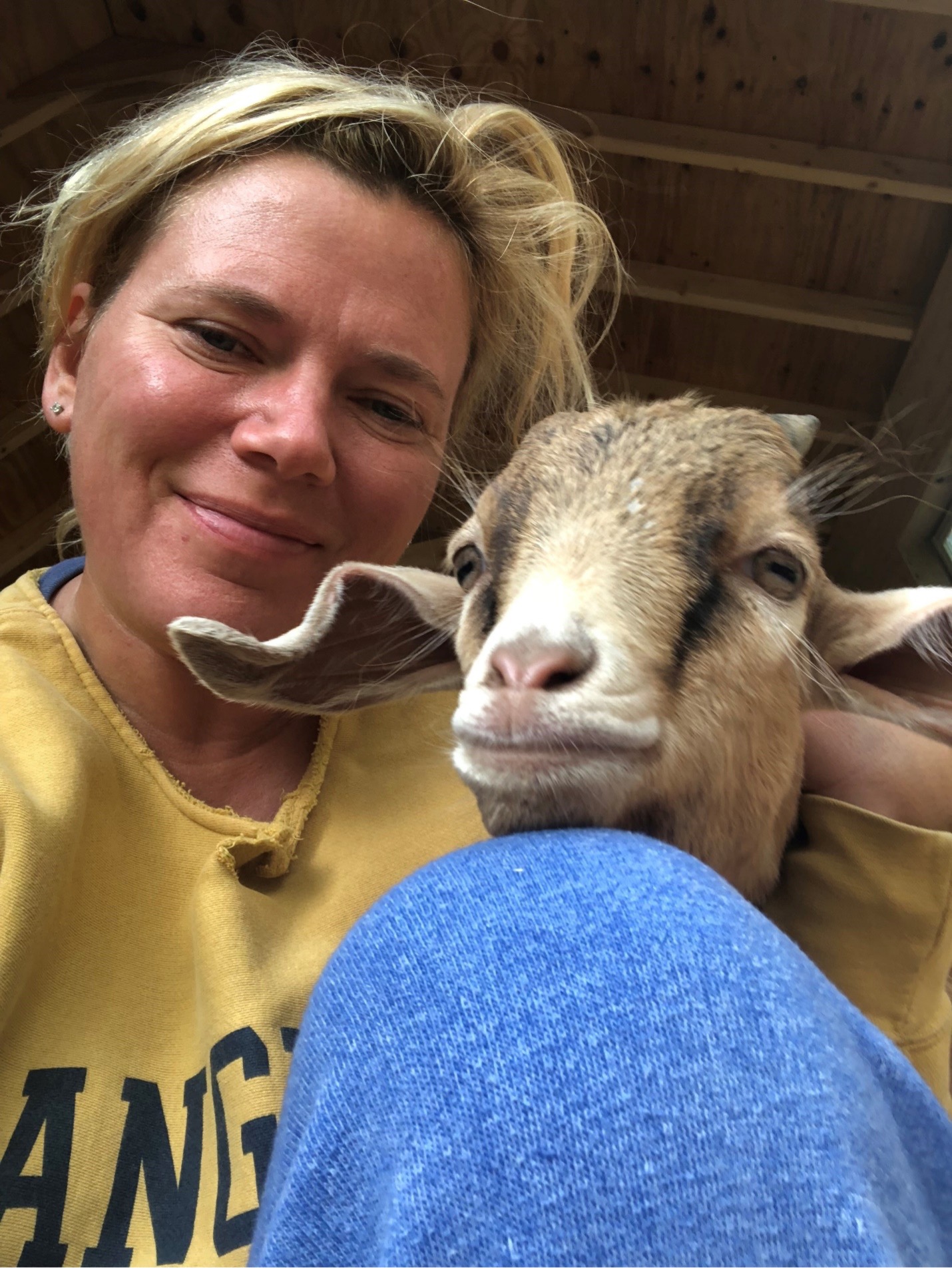Mission, Scope of Practice, Privacy Policy - Deborah Shepherd | Animal ...